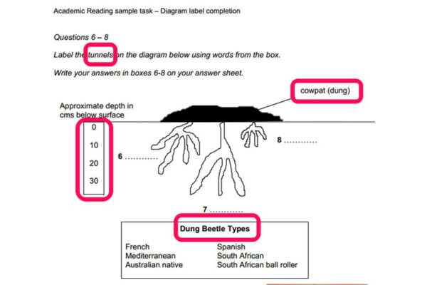 Chiến thuật làm bài Completing Tables Charts Note Diagrams IELTS Reading