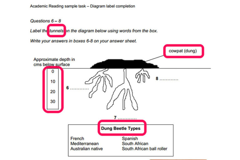 Chiến thuật làm bài Completing Tables Charts Note Diagrams IELTS Reading