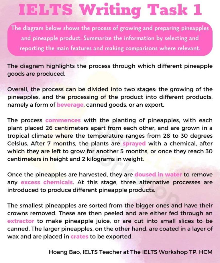 Giải đề Pineapple process IELTS Writing task 1