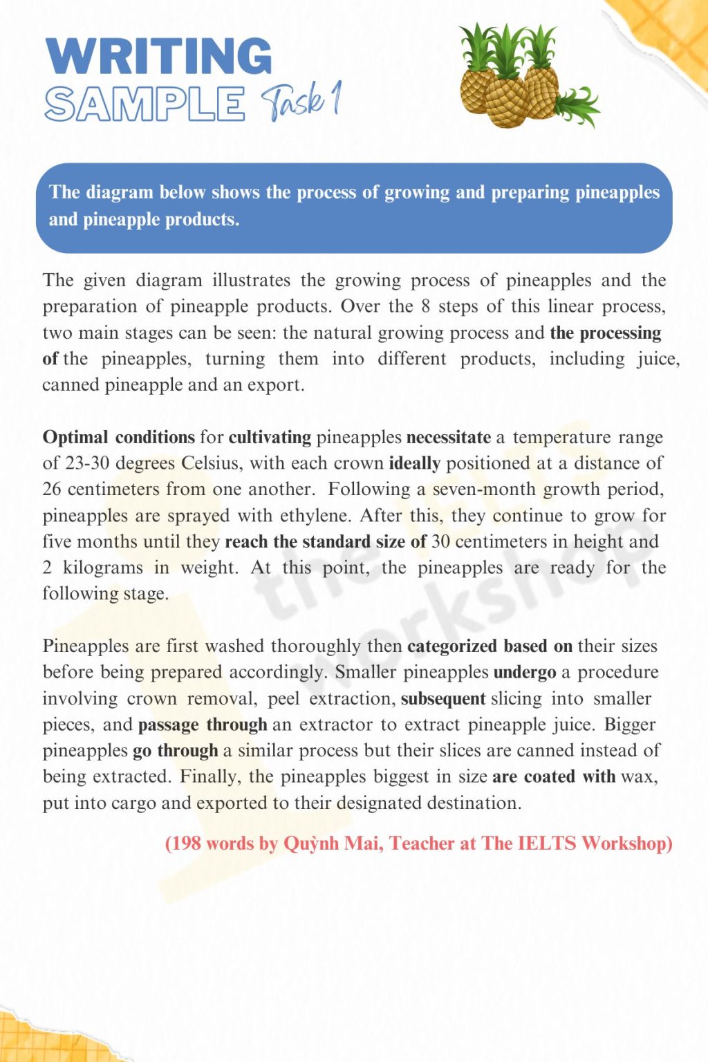 Giải đề Pineapple process IELTS Writing task 1