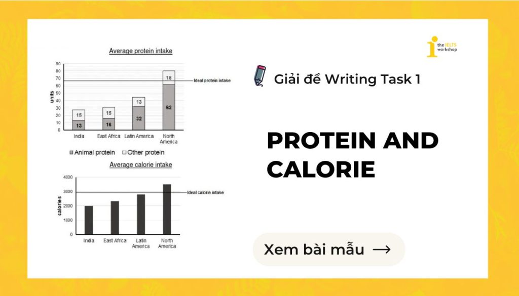 Topic: The protein and calorie intakes | IELTS Writing Task 1