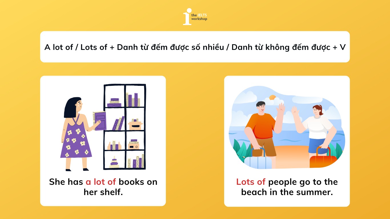 Phân biệt A Lot Of và Lots Of: Cấu trúc, cách dùng và bài tập