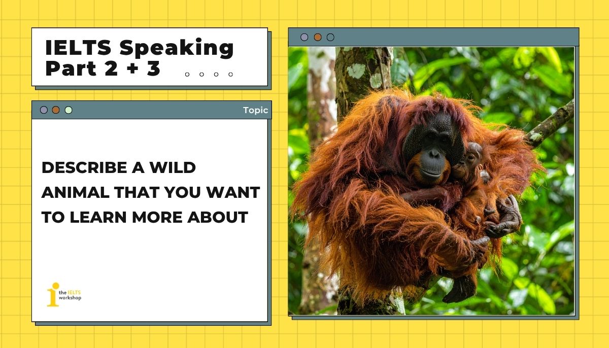 Topic: Schools IELTS Speaking Part 1 | Bài mẫu + Từ vựng