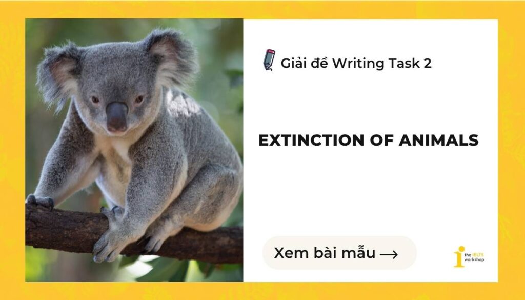 Giải đề IELTS Writing Task 2: Reasons for the extinction of animals